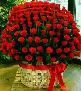 SPECIAL BASKET – Giem Flowers