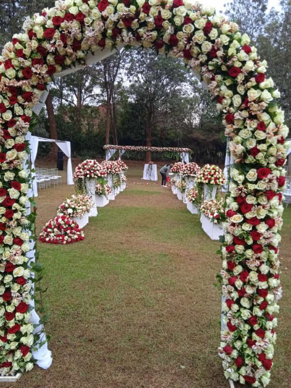 Full flowered Ark Flowers – Giem Flowers