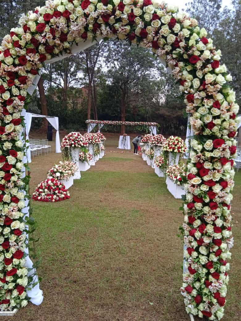 Full flowered Ark Flowers – Giem Flowers